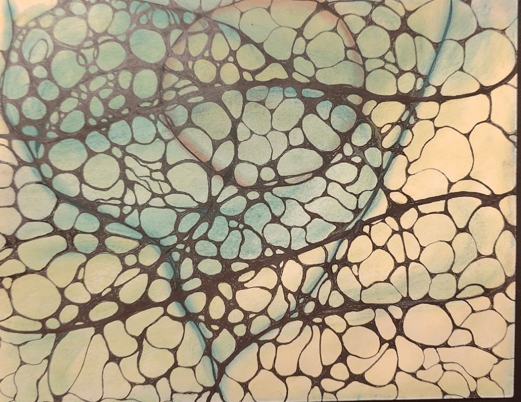 EXA Gallery | Elizabeth Valera, LPC